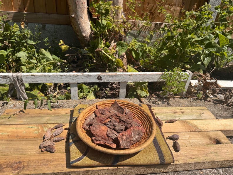 Epo Obo Tree Bark: Organic Ficus Platyphylla, Anti-witchcraft Bark for ...