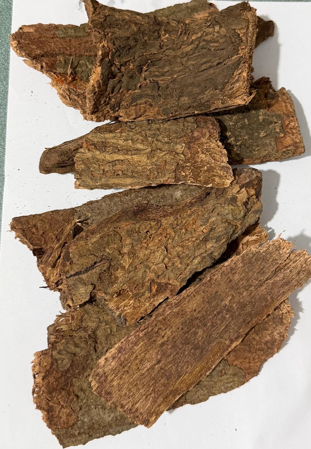 Organic Mango Tree Bark for Herbal Tea Infusion - Etsy