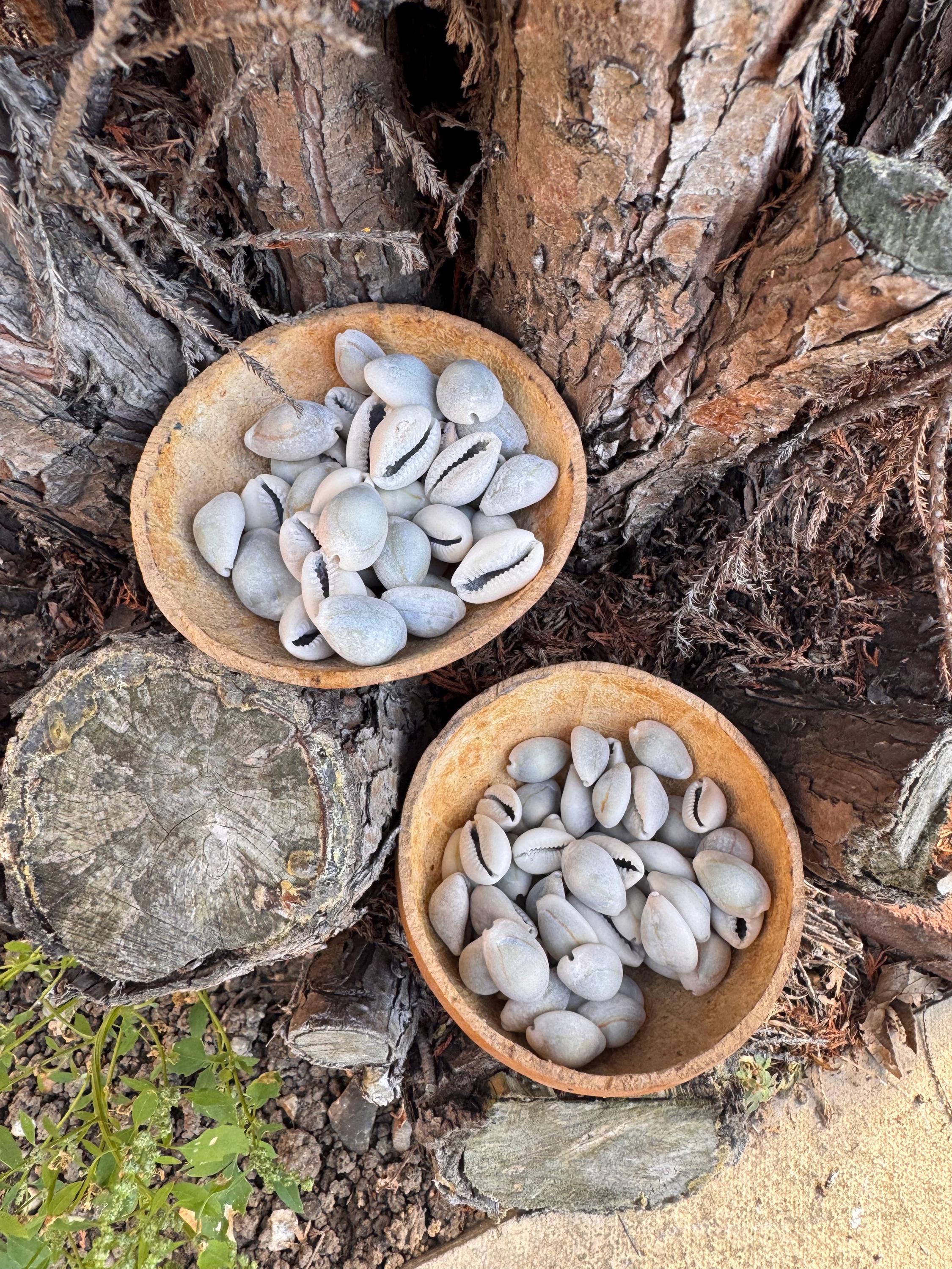 Igba Calabash: Traditional Food, Drink Container, Spiritual Soap Gourd ...