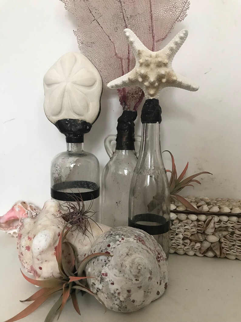Vintage Sea Shell / Bottle With Sea Shell - Etsy