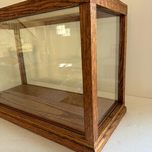 Vintage Terrarium / Taxidermy Display / Glass Display - Etsy