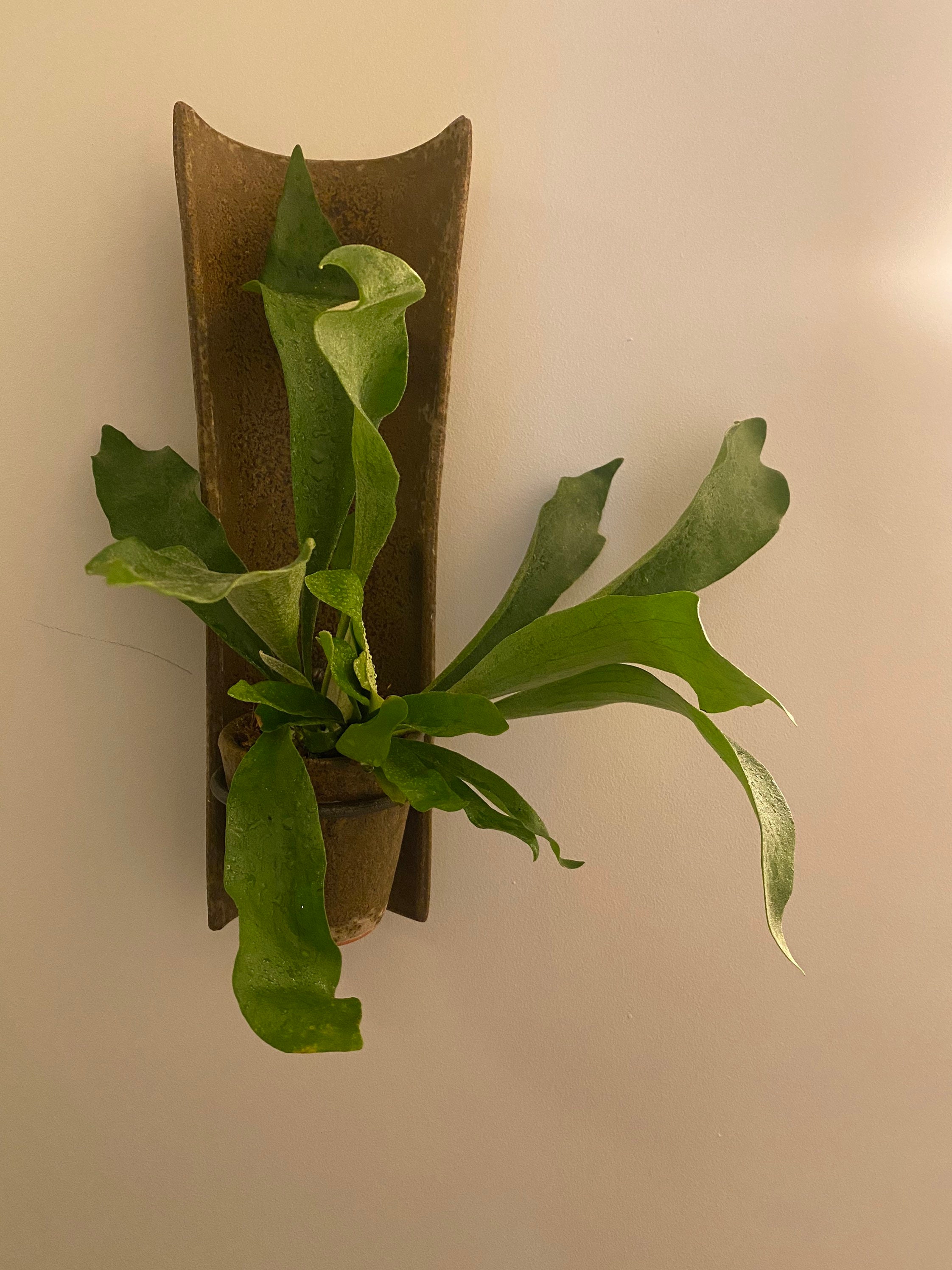 Roof Tile Planter - Plant Holder - Etsy