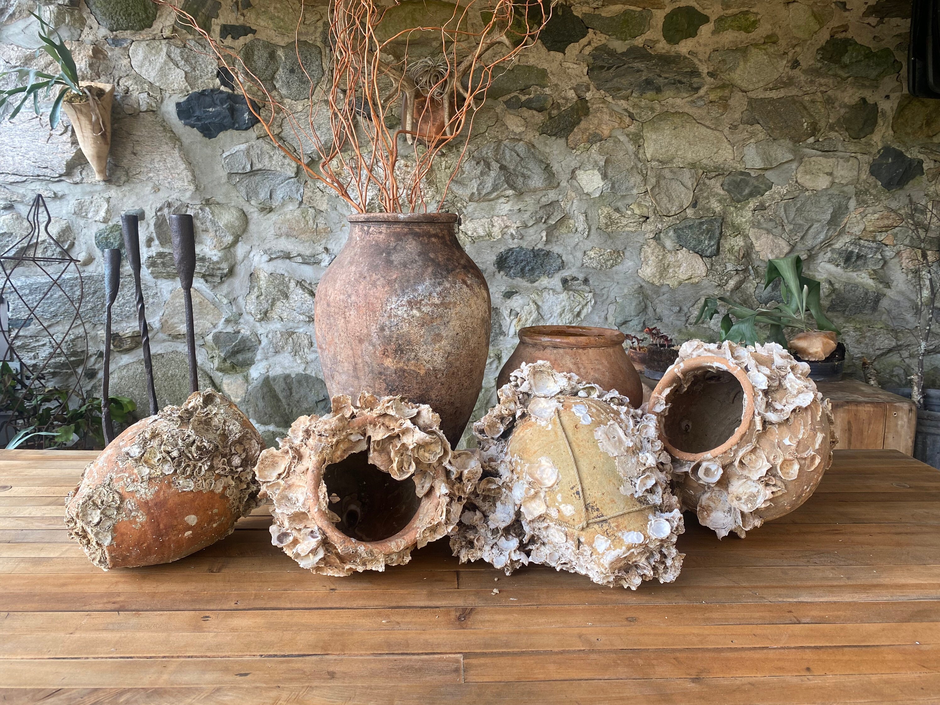 19th Century Antique Encrusted Octopus Trap Octopus - Etsy