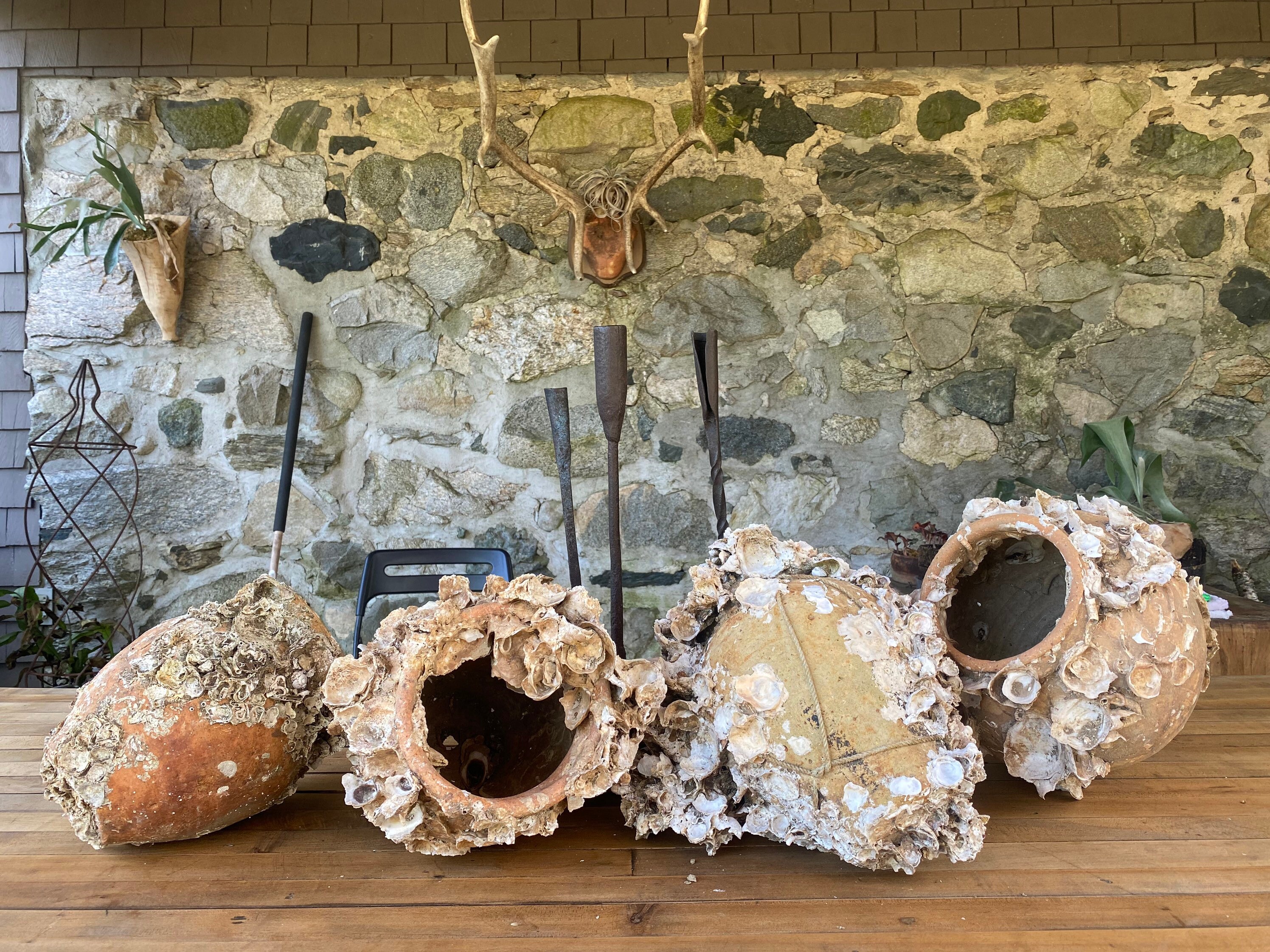 19th Century Antique Encrusted Octopus Trap Octopus - Etsy