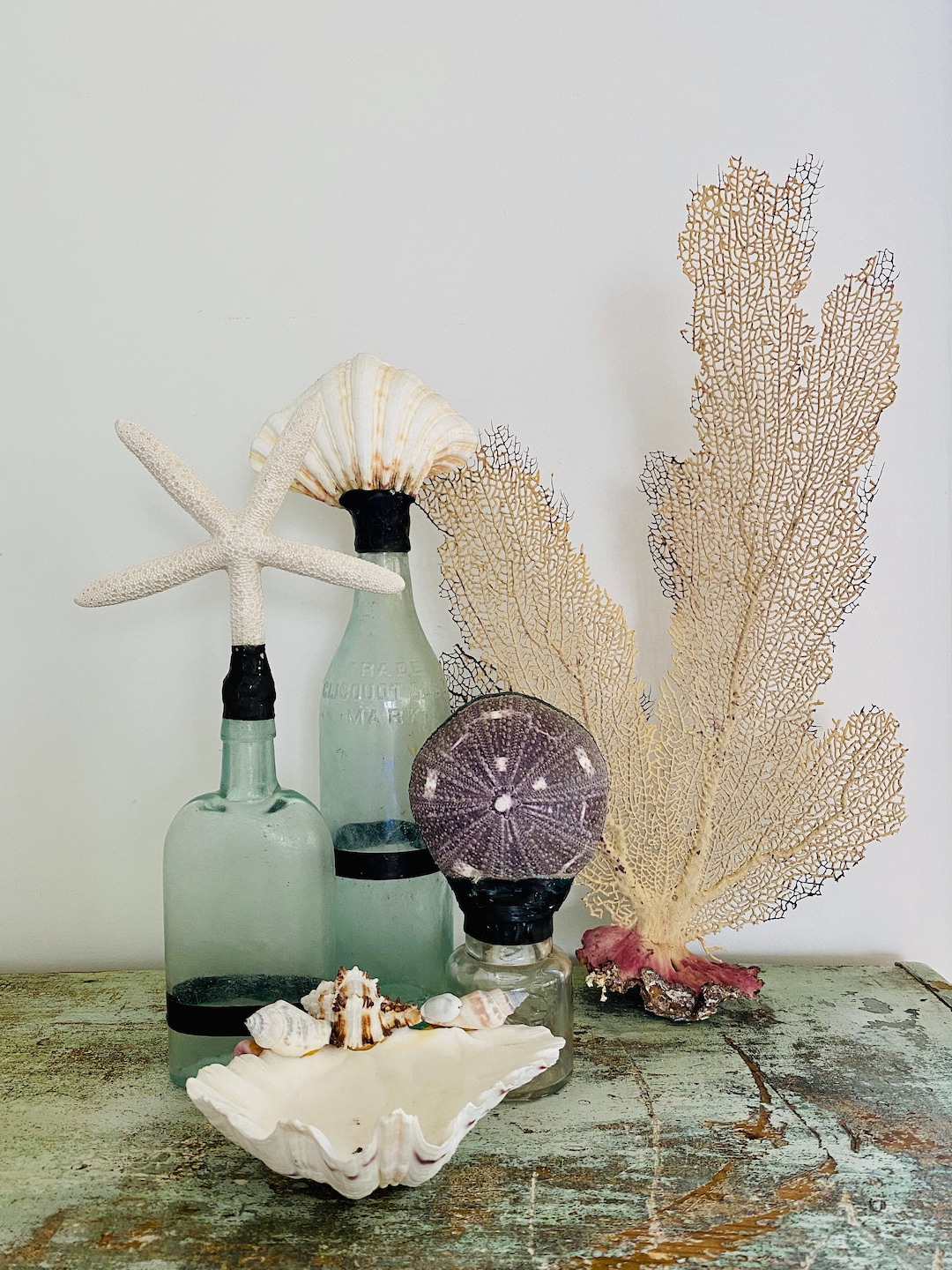 Vintage Sea Shell / Bottle With Sea Shell - Etsy