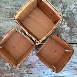 Vintage Berry Baskets / Set of 10 - Etsy