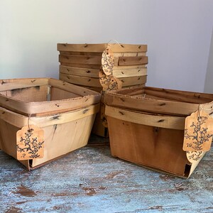 Vintage Berry Baskets / Set of 10 - Etsy