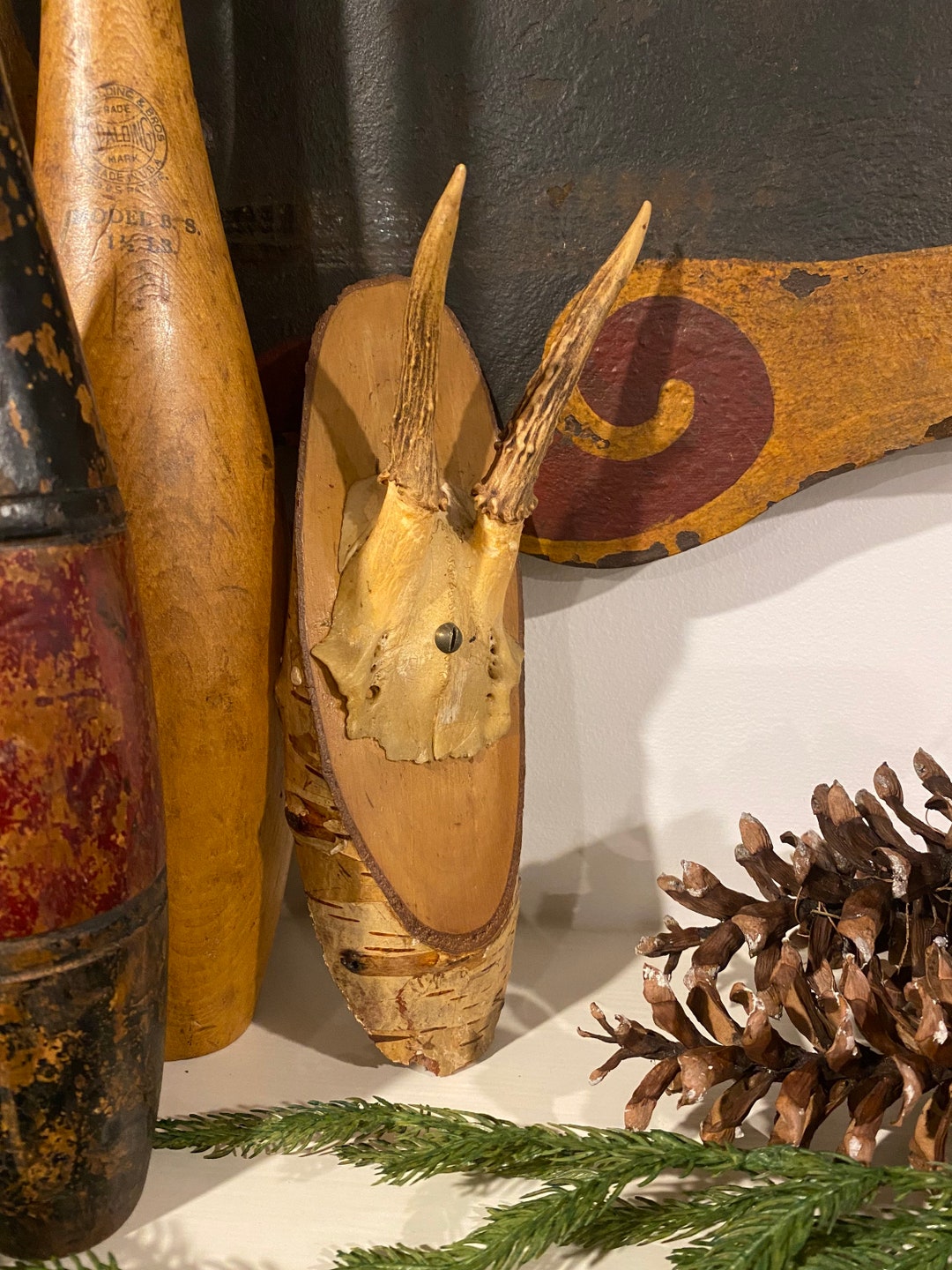 Vintage European Mounted Deer Antler - Etsy