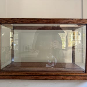Vintage Terrarium / Taxidermy Display / Glass Display - Etsy
