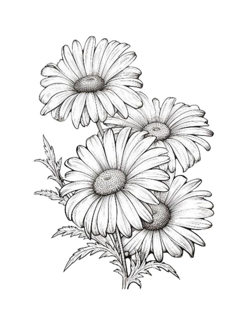 50 Flower Coloring Pages - Etsy