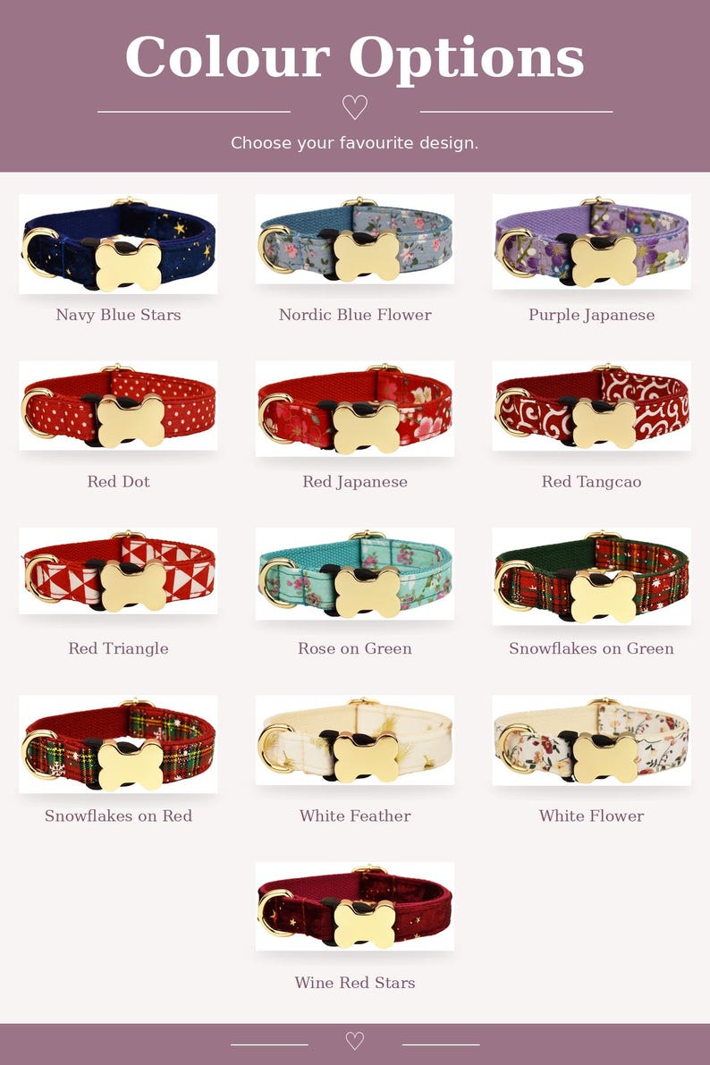 Designer Dog Collar With Engraved Name | Personalised Puppy Collar ...