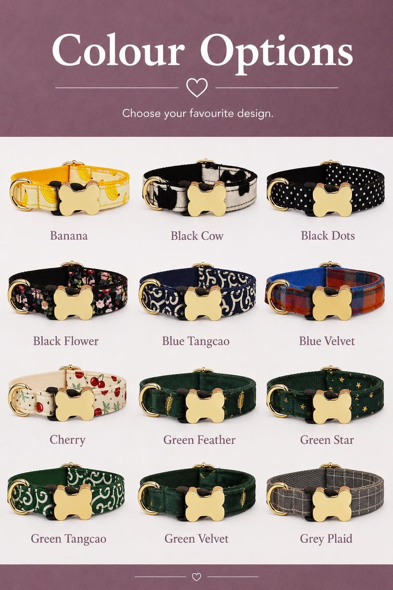 Designer Dog Collar With Engraved Name | Personalised Puppy Collar ...