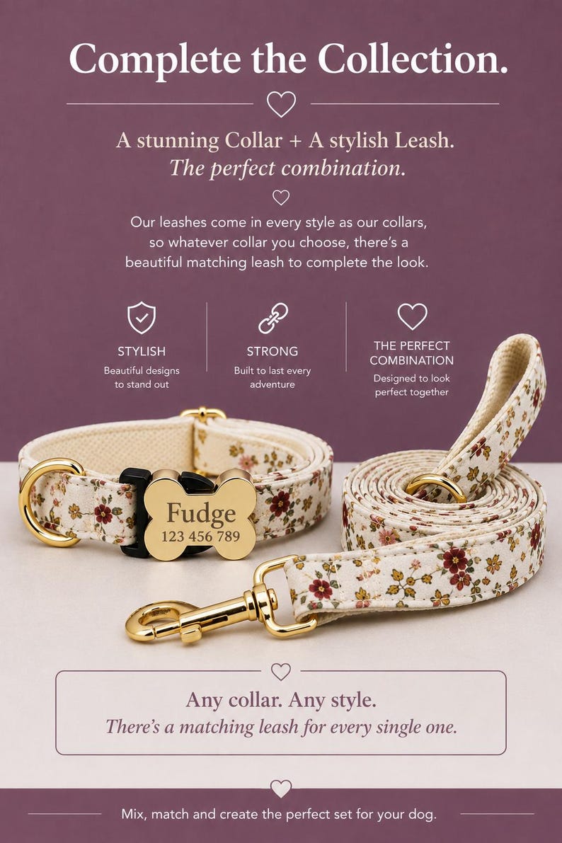 Designer Dog Collar With Engraved Name | Personalised Puppy Collar ...