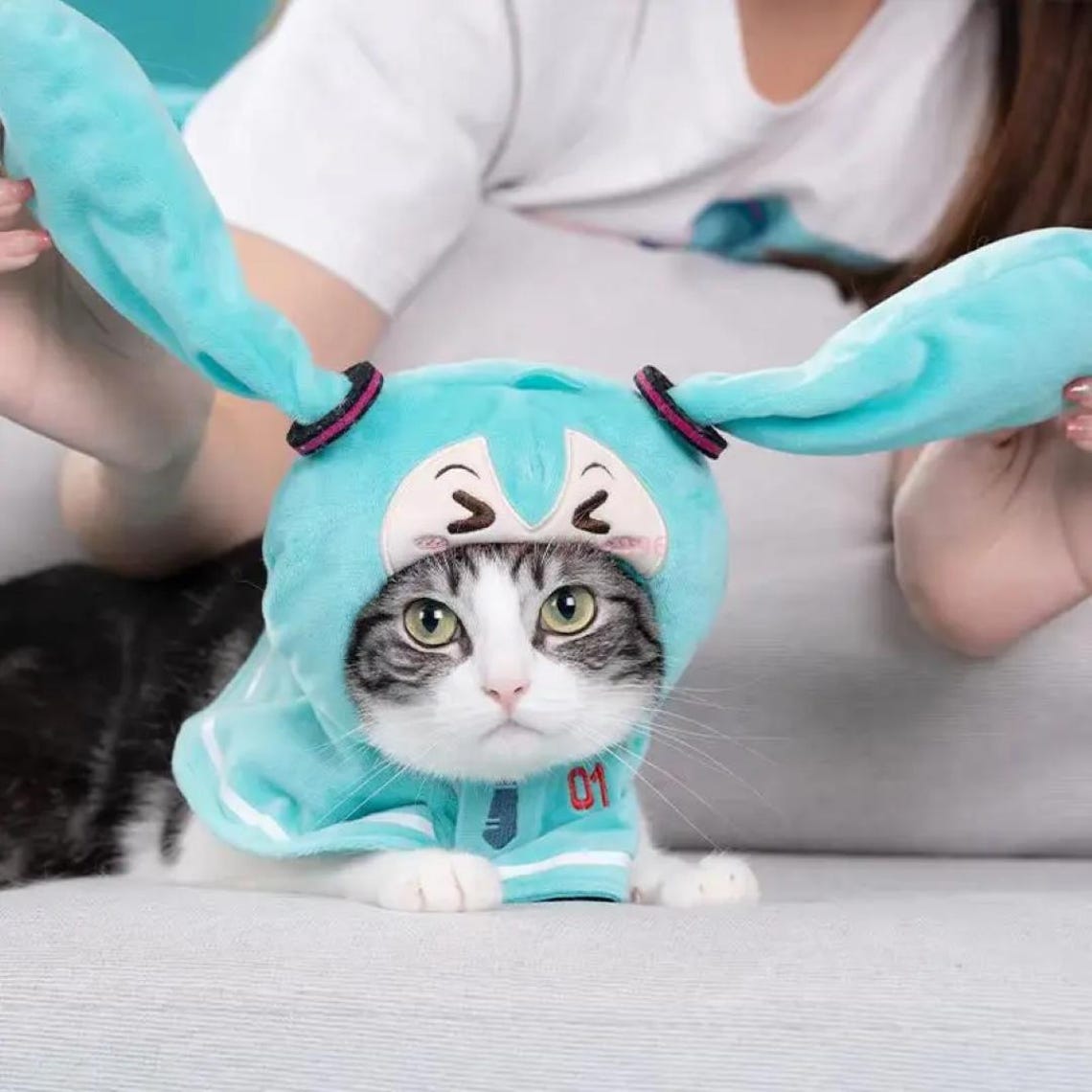 Moeyu Hatsune Miku Squinting Eyes Series Mini Hand Puppet Pet Shawl ...