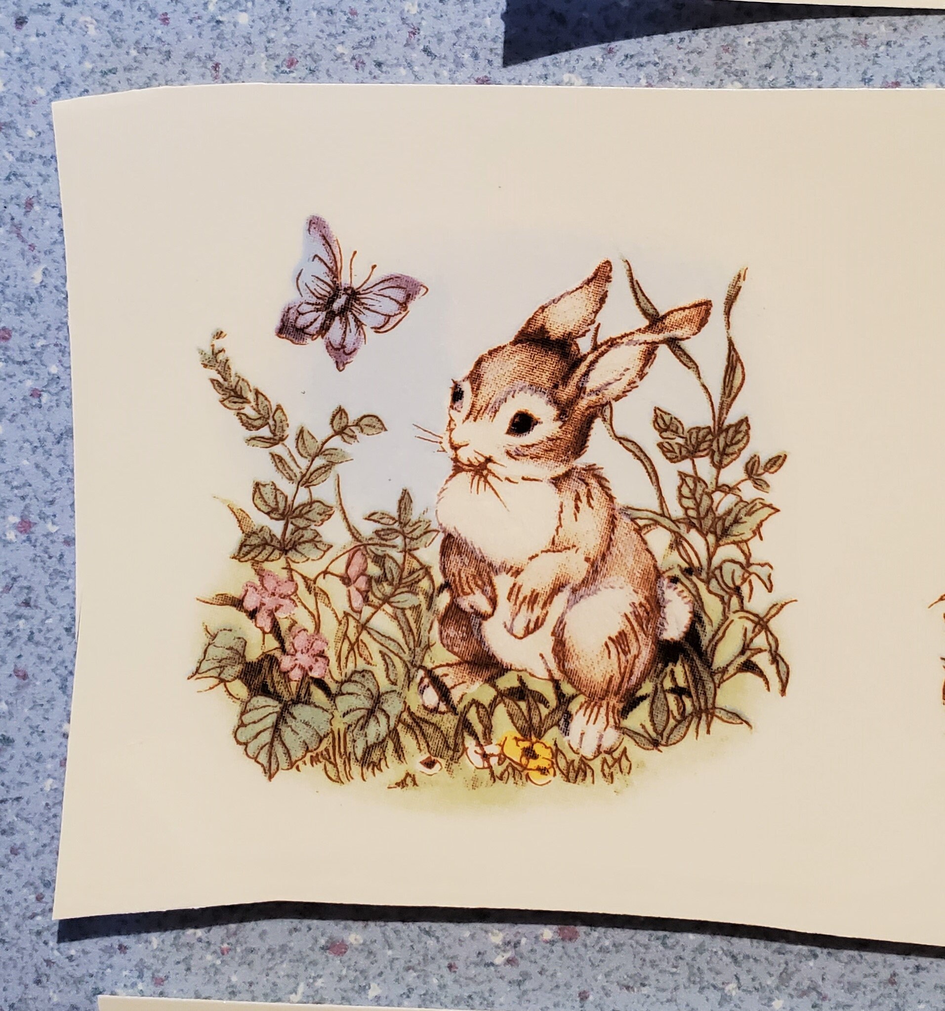 Vintage Water Mount Decals Very Cute Wild Animals With - Etsy