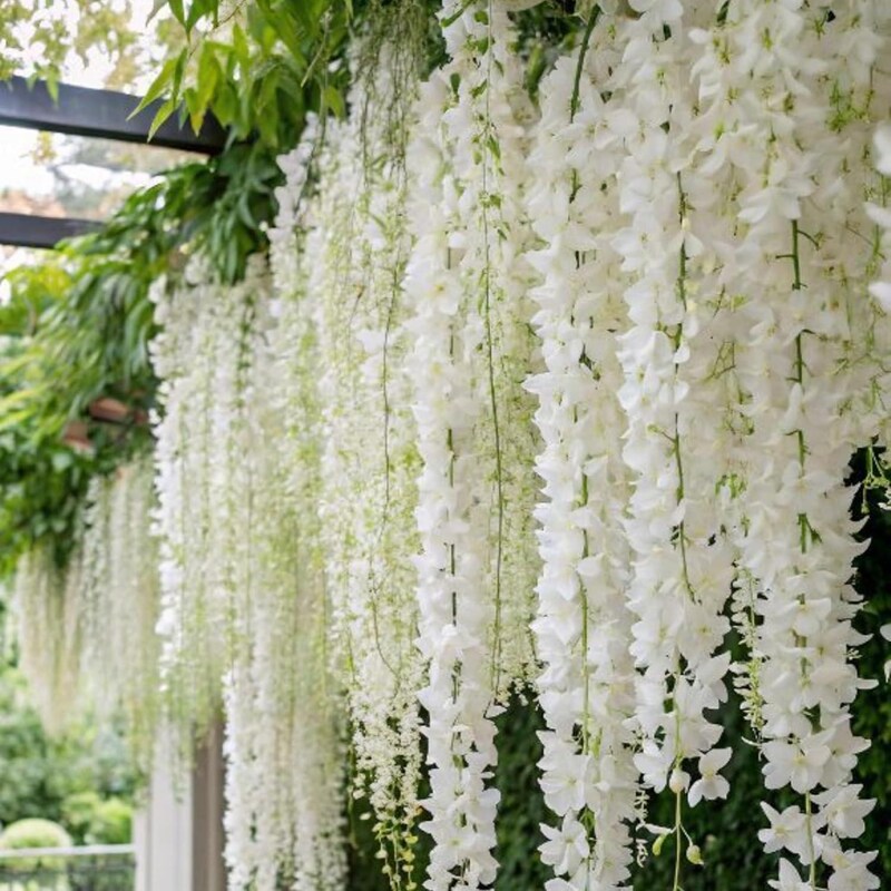 Live jasmine plant indoor - Etsy France