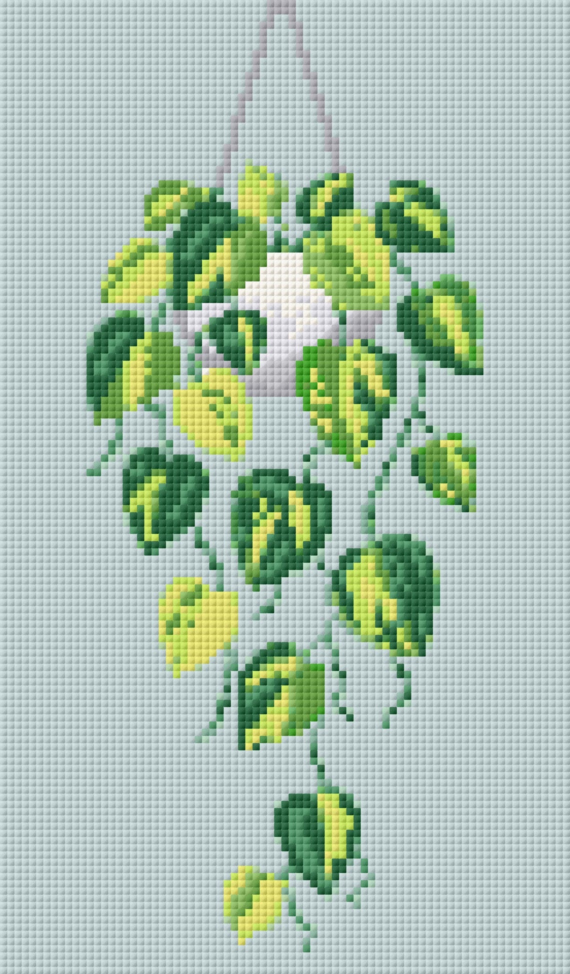 Variegated Pothos Houseplant Cross Stitch Pattern - Etsy