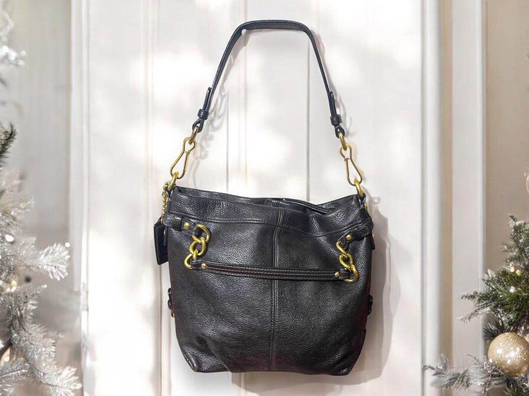 NEW Vintage COACH Brooke Brown Pebbled Leather Hobo Bag Purse 14142 ...