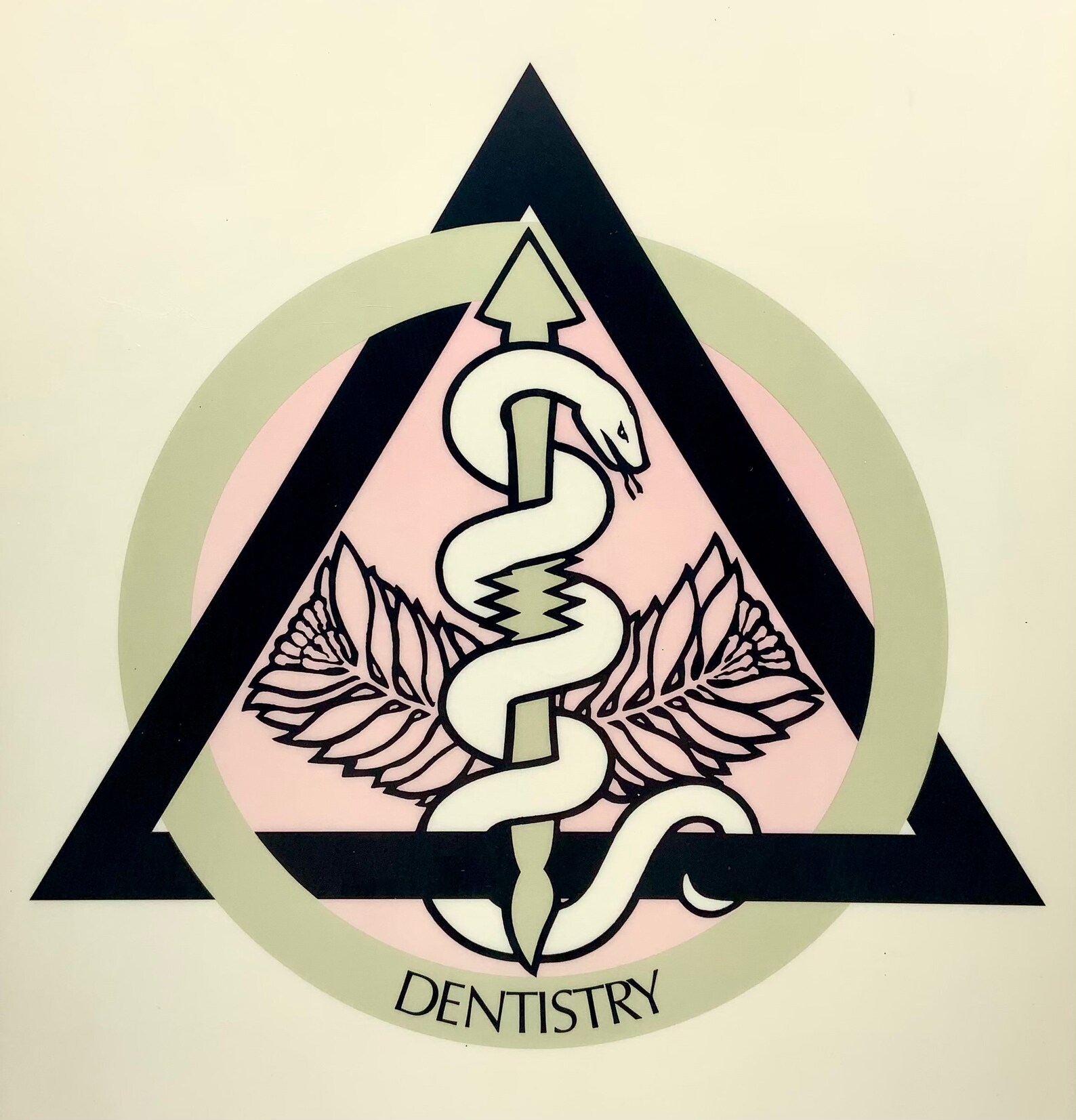 Vintage Dentist Sign Symbol DDS in Frame / Dentist Plaque with | Etsy