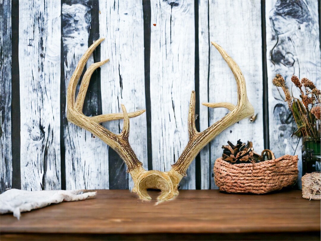 Vintage 8 Point Buck Antlers White Tail Deer Antlers From Michigan 17 X ...