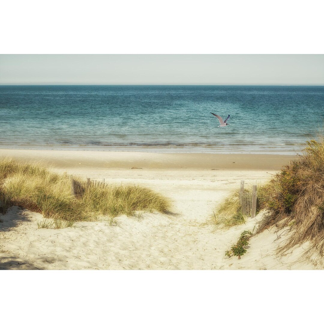 Cape Cod Art Print: Corporation Beach Coastal Scene, Large Wall Art - Etsy