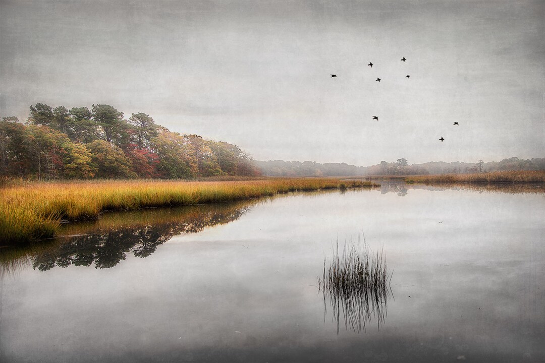 Cape Cod Art, Harwich MA, Fall Art - Etsy