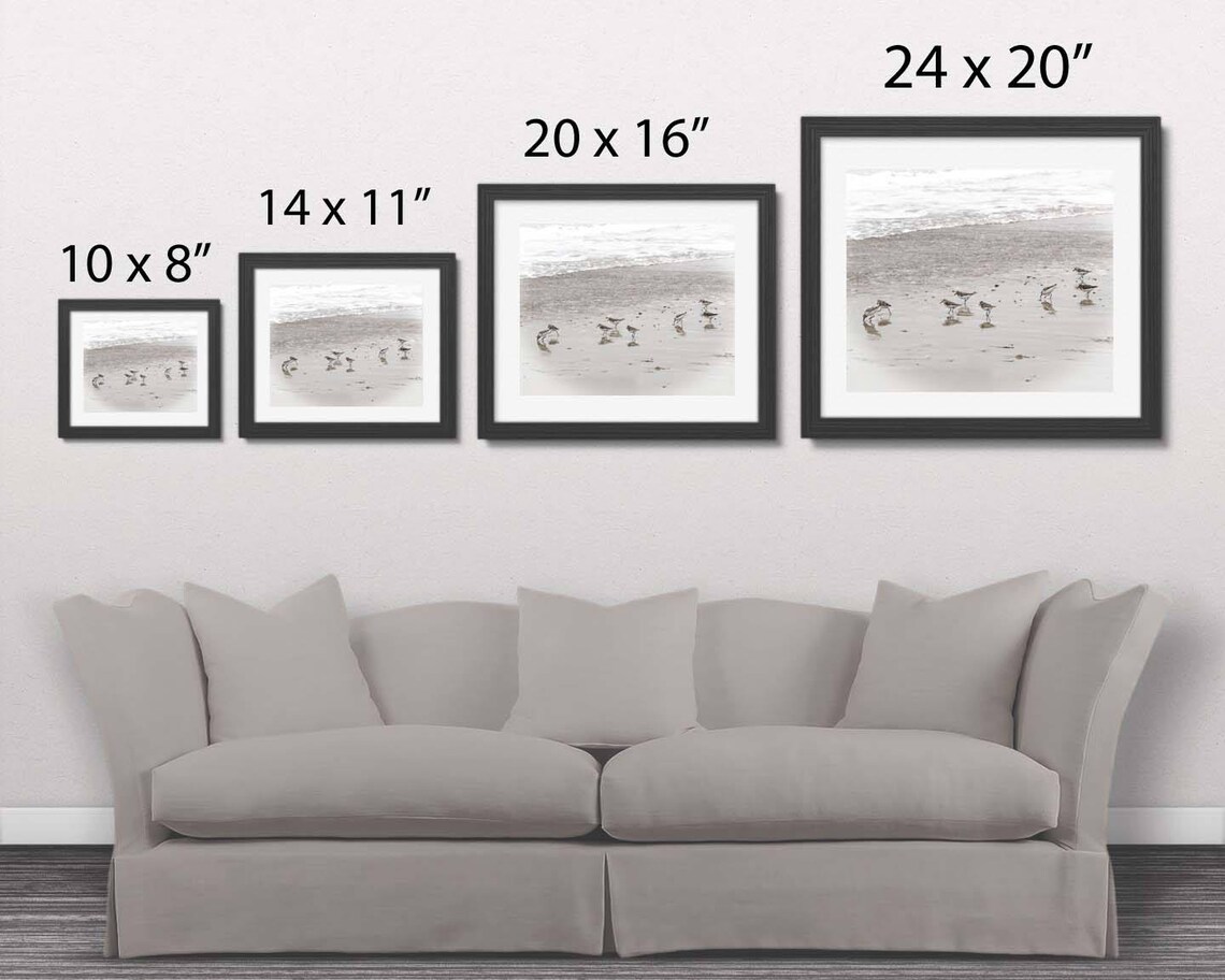 Sandpiper Wall Art Bird Photography 14x11 Bird Wall Art - Etsy Canada