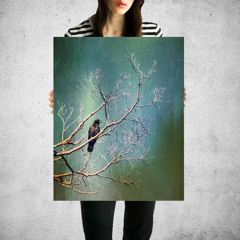 Crow Art Gothic Home Decor Teal Wall Art Canvas Art Raven - Etsy