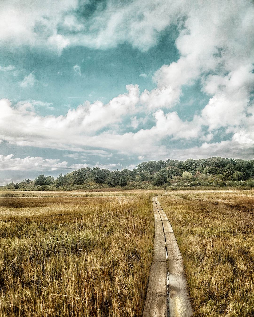 Cape Cod Art, John Wing Trail, Wing Island, Brewster MA, Cape Cod ...