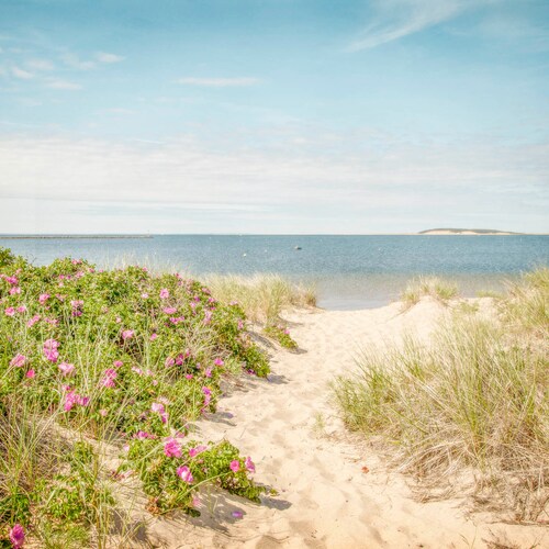 Cape Cod Beach Poster Cape Cod Print Cape Cod Wall Art Cape - Etsy