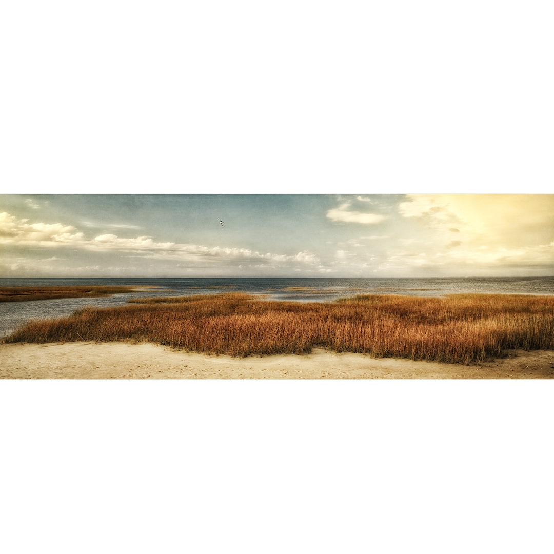 Cape Cod Art, Earth Tones Wall Art, Brewster MA, Panoramic Landscape ...