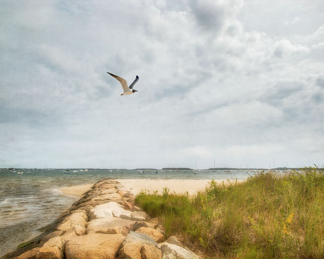 Cape Cod Wall Art, Hyannis Print, Veterans Beach Art, Hyannis Memorial, Cape Cod Gifts - Etsy