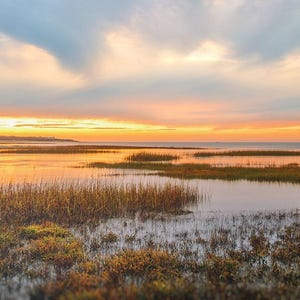 Cape Cod Art, Paine's Creek, Brewster MA, Cape Cod Wall Art, Cape Cod ...