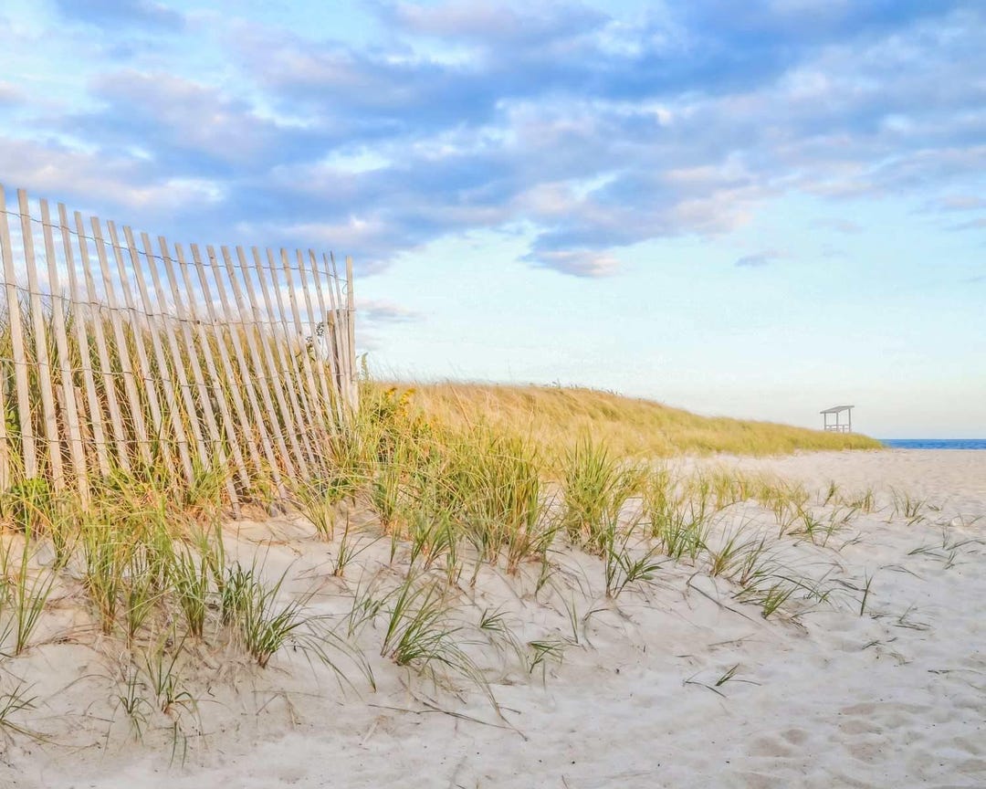 Cape Cod Wall Art, Beach Print, Beach Canvas, Coastal Wall Art, Seagull ...