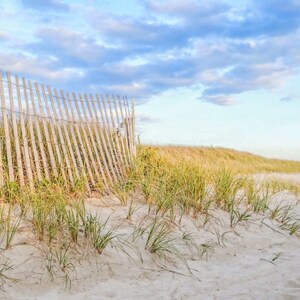 Cape Cod Wall Art, Beach Print, Beach Canvas, Coastal Wall Art, Seagull ...