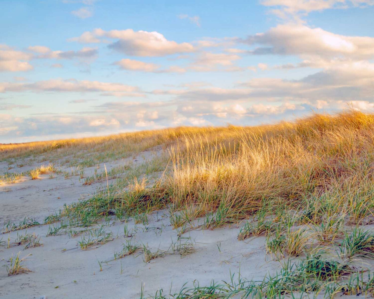 Cape Cod Wall Art Beach Print Beach Canvas Coastal Wall - Etsy