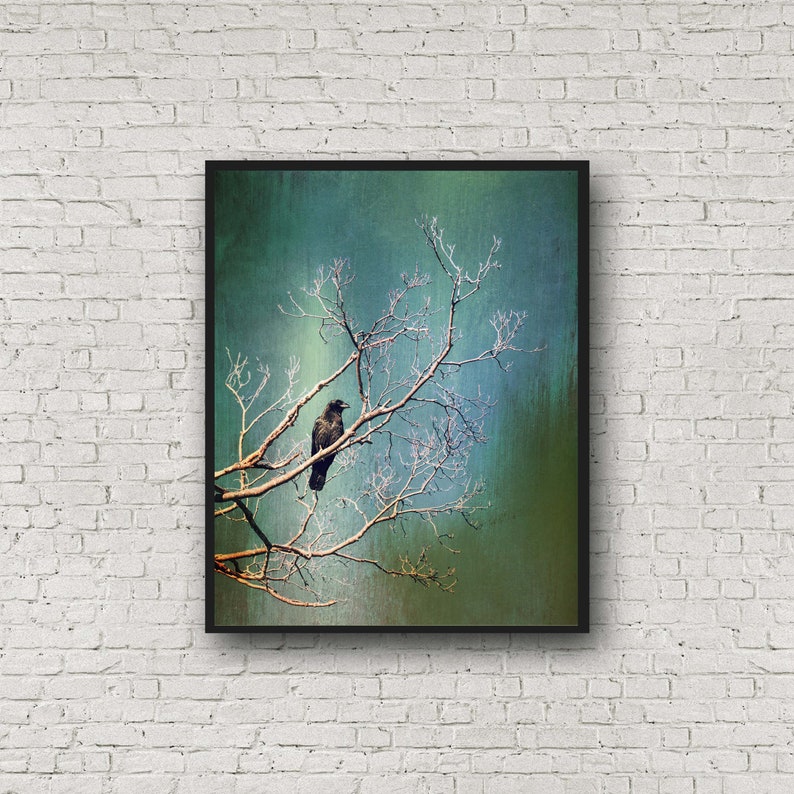 Crow Art Gothic Home Decor Teal Wall Art Canvas Art Raven - Etsy