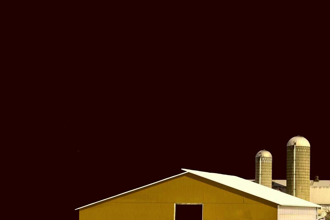 Modern Farmhouse Decor, Mustard Yellow Wall Art, Barn Photos, Rural ...