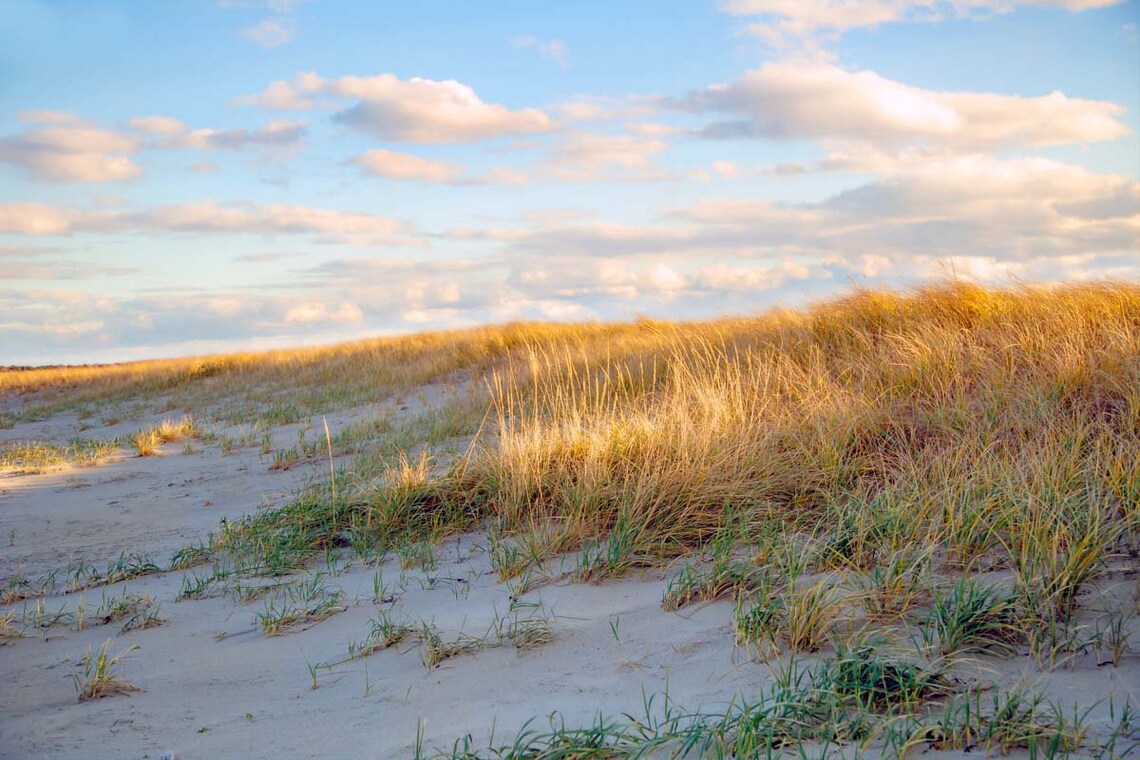 Cape Cod Wall Art Beach Print Beach Canvas Coastal Wall - Etsy