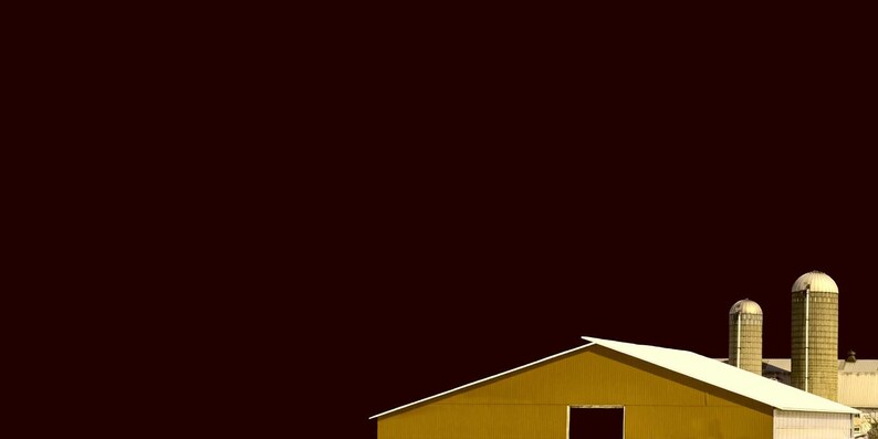 Modern Farmhouse Decor Mustard Yellow Wall Art Barn Photos - Etsy