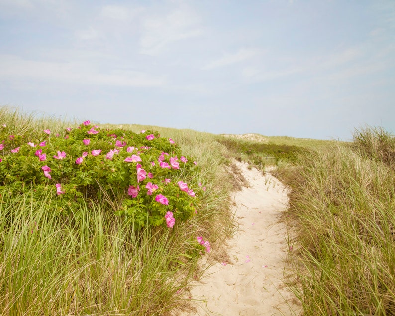 Cape Cod Art Cold Storage Beach Dennis MA Beach Print | Etsy