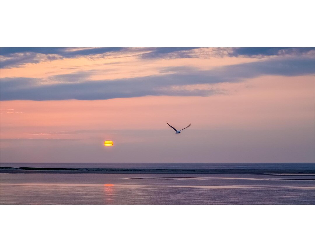 Cape Cod Art, Chatham MA, Cape Cod Sunrise, Panoramic, Coastal Art ...