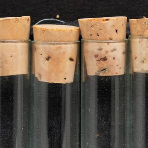 6 Vintage Glass Bottles With Cork Stoppers and Numbered Labels Antique ...