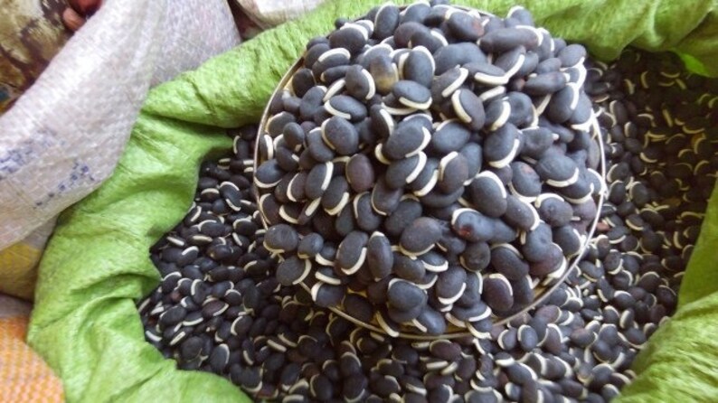 20 Black Njahi (beans) Seeds- 1383A - Etsy