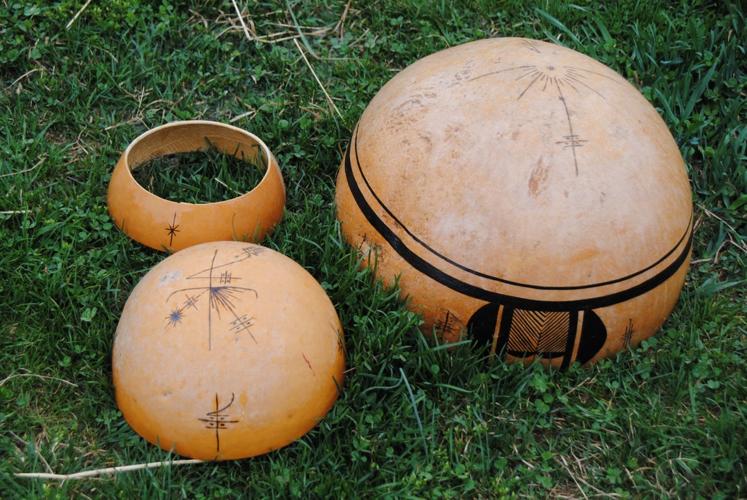 8 Giant African Bushel Gourd Seeds-1180 - Etsy