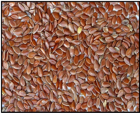 20 Alshi Seed1385 | Etsy