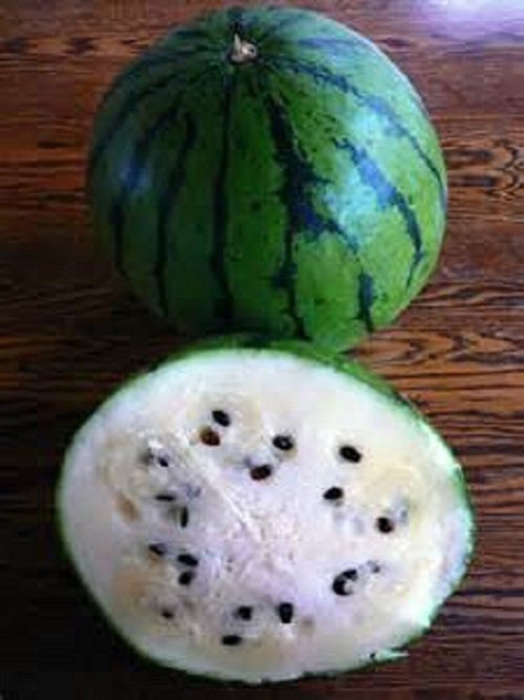 10 Russian Watermelon Seeds-1160 - Etsy