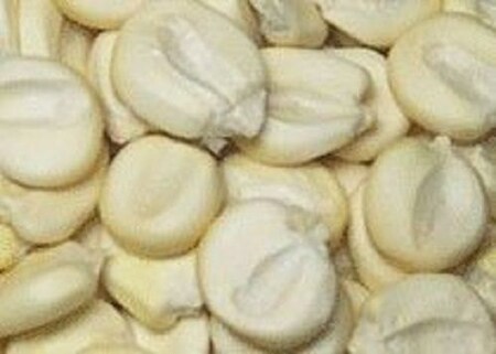 RobsRareandGiantSeed - Etsy