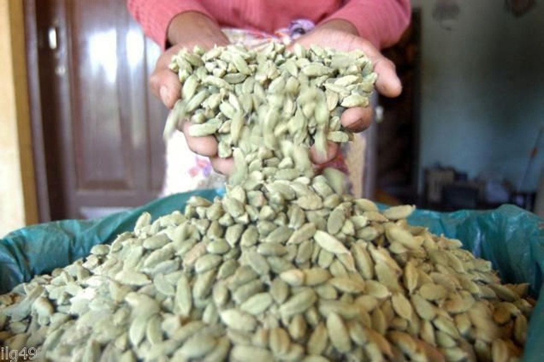 25 Mixed Lot Cardamom Herb Seeds-1305 - Etsy