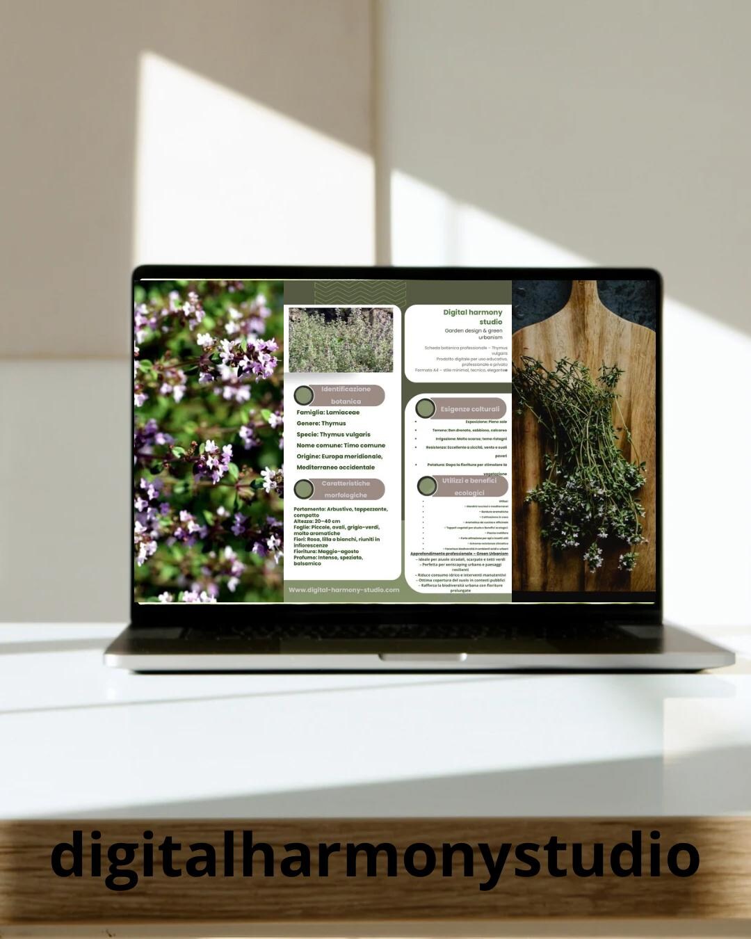 Professional Thyme Color Palette | Hex Codes for Design & Interior ...